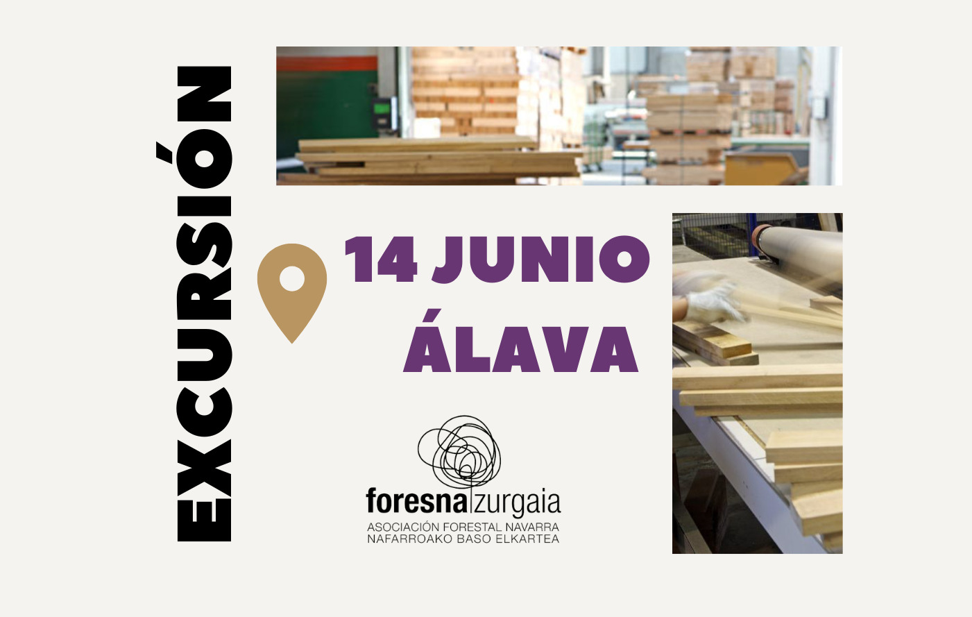 EXCURSIÓN ÁLAVA - Foresna