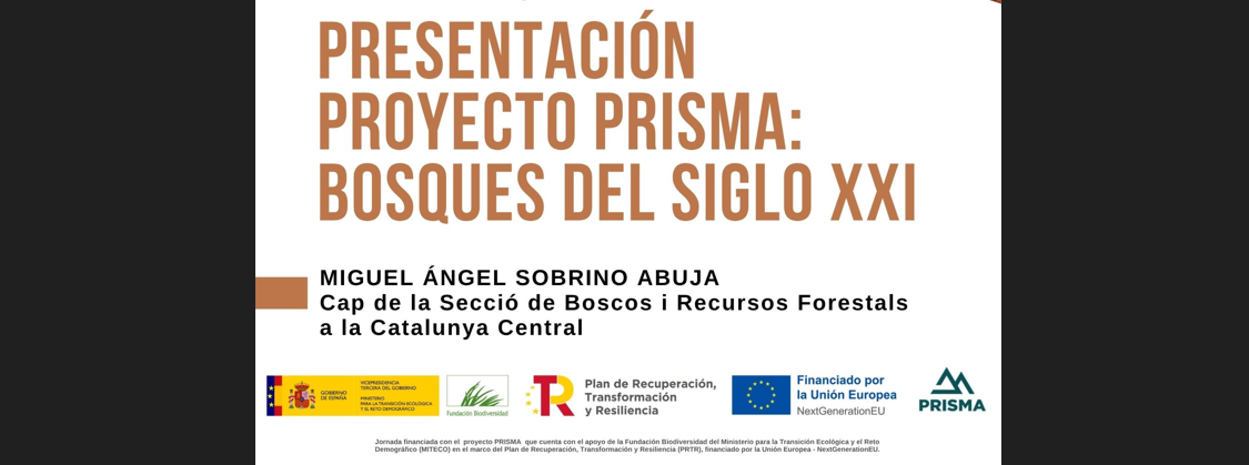 Presentación de PROYECTO PRISMA - Foresna