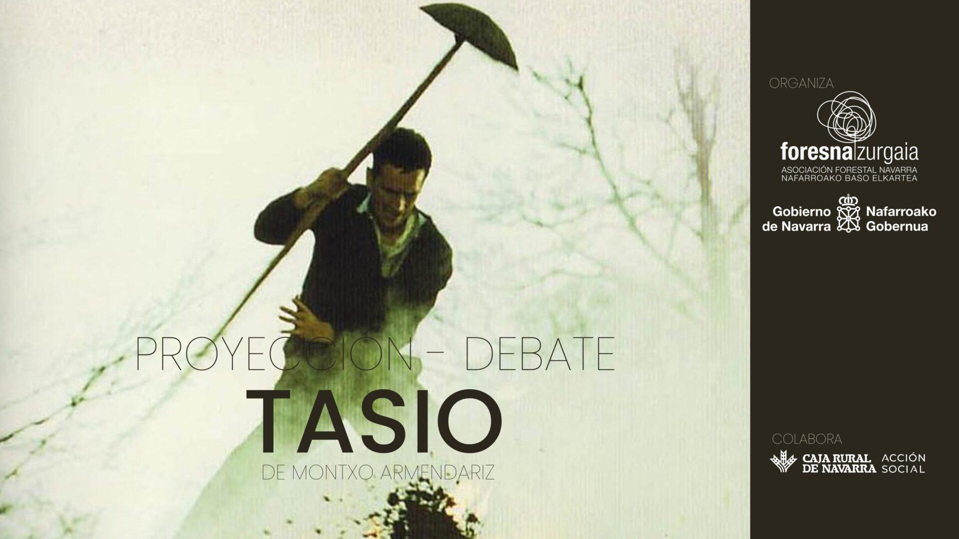 PROYECCIÓN DEBATE TASIO - Foresna